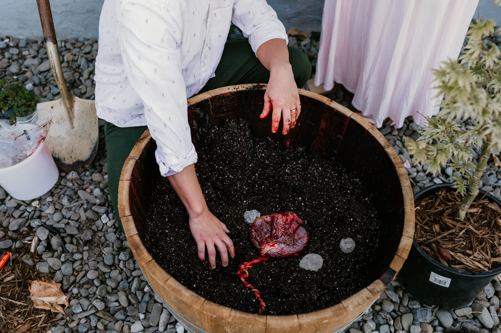 What to do with your placenta after your baby is born? - julialorraine.com